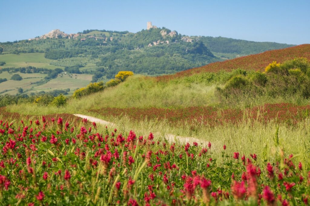 Tuscany Trail – Bikepacking-Abenteuer durch die Toskana